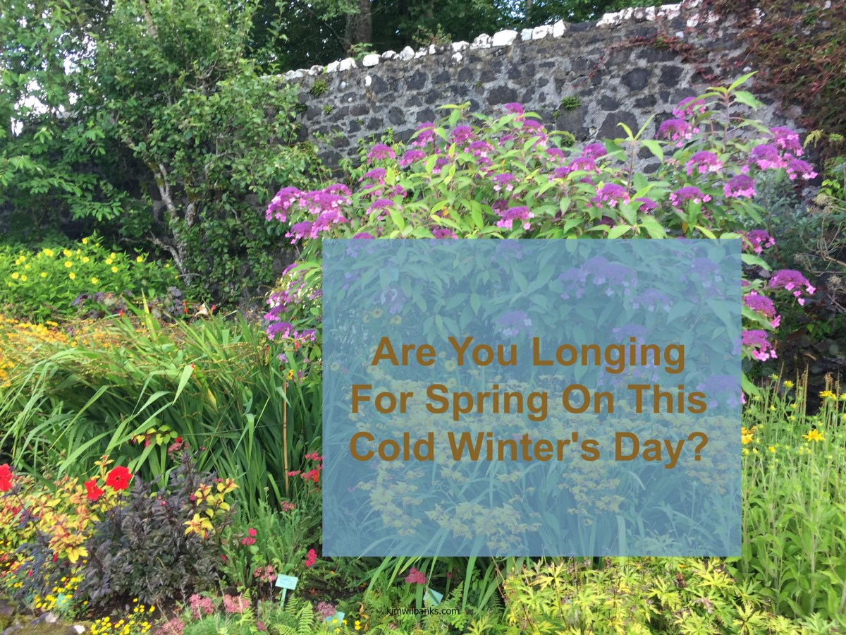 Are You Longing For Spring On This Cold Winter’s Day? – Kim Wilbanks