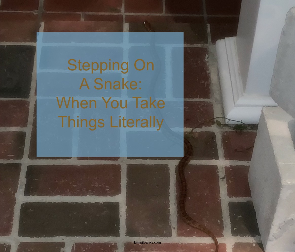 Stepping On A Snake: When You Take Things Too Literally – Kim Wilbanks