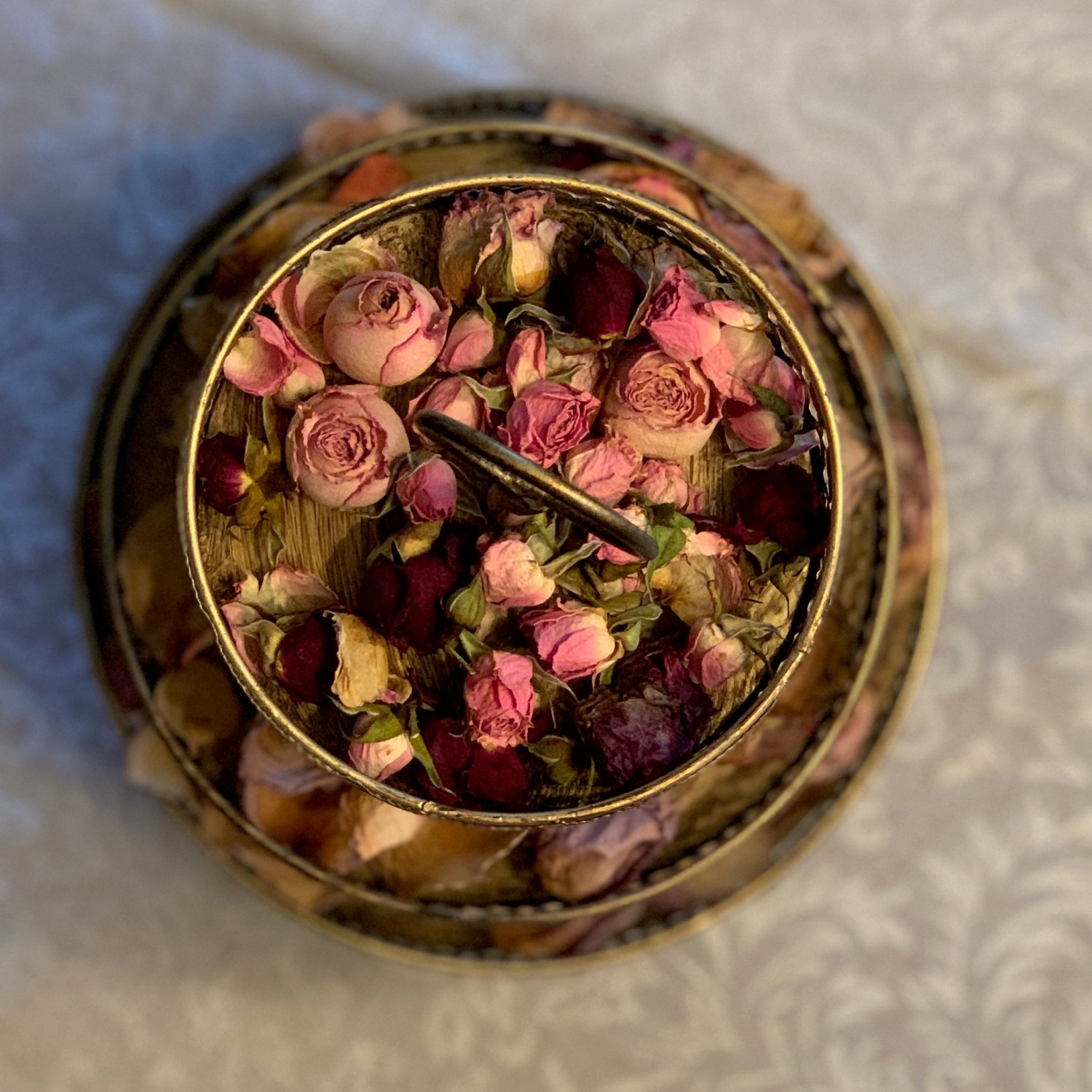 What Do You Do With Faded Roses – Kim Wilbanks