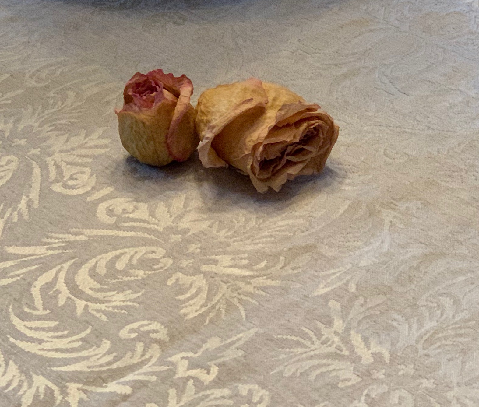 What Do You Do With Faded Roses – Kim Wilbanks