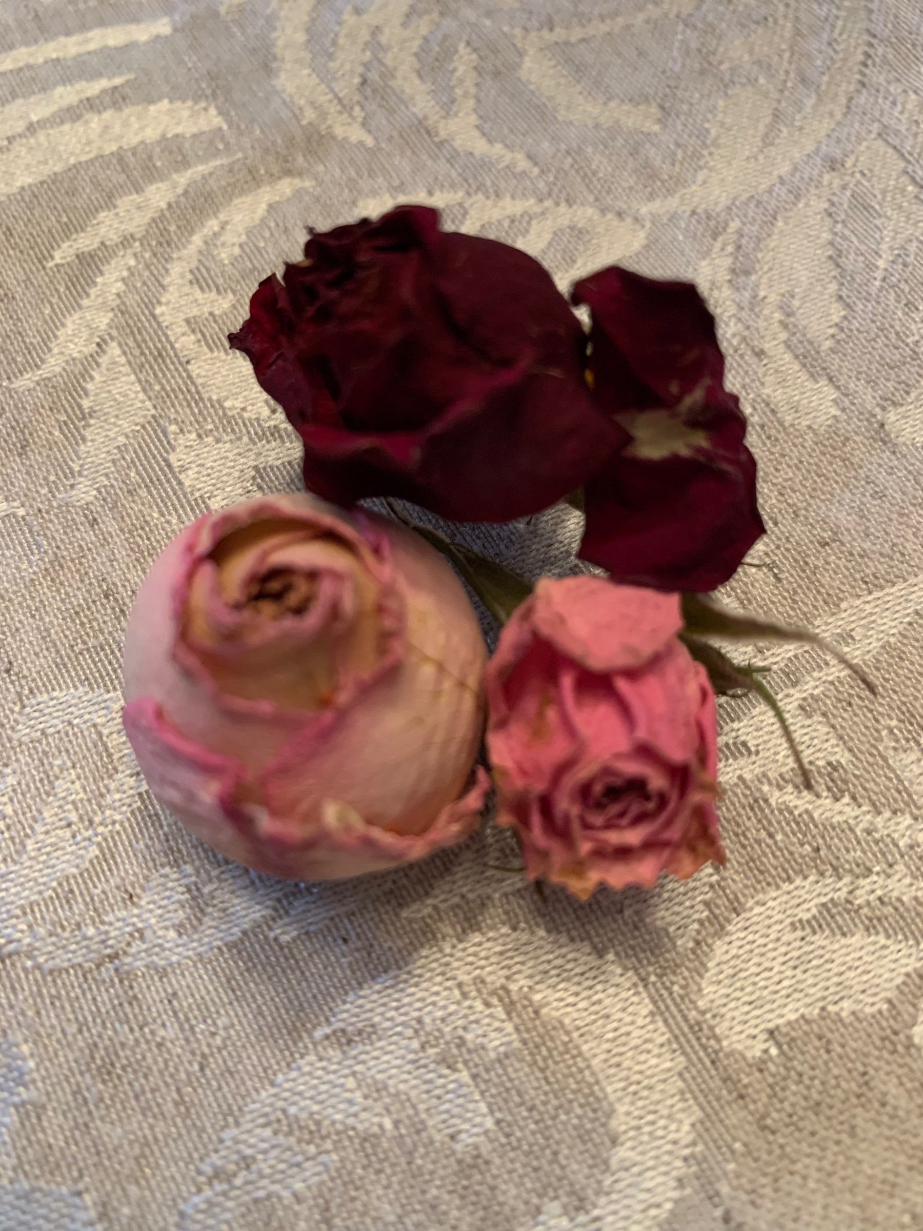 What Do You Do With Faded Roses – Kim Wilbanks