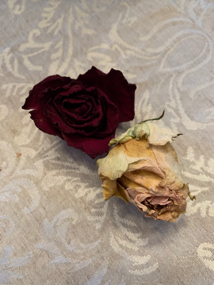 What Do You Do With Faded Roses – Kim Wilbanks