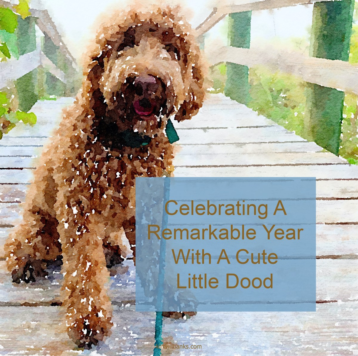 Celebrating A Remarkable Year With A Cute Little Dood – Kim Wilbanks