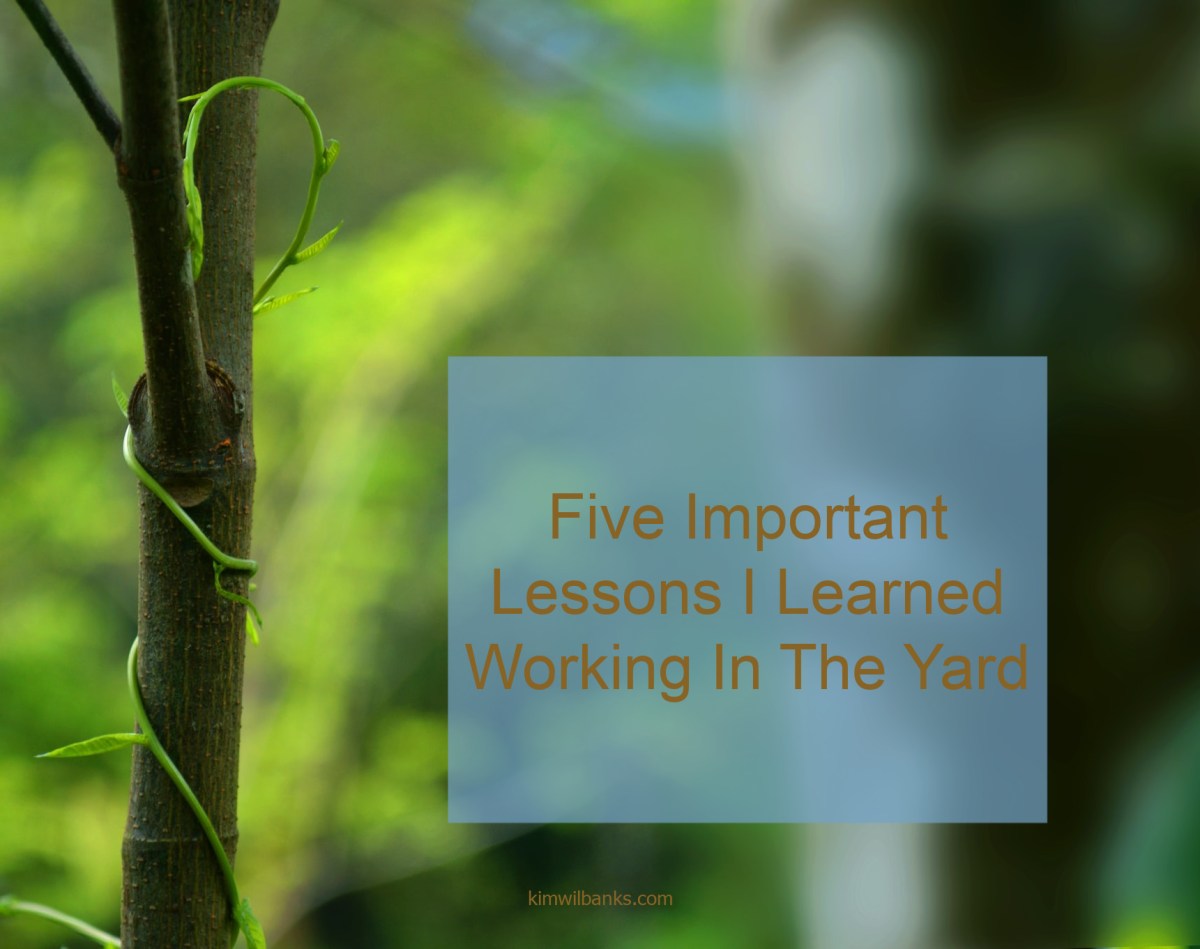 Five Important Lessons I Learned Working In My Yard – Kim Wilbanks