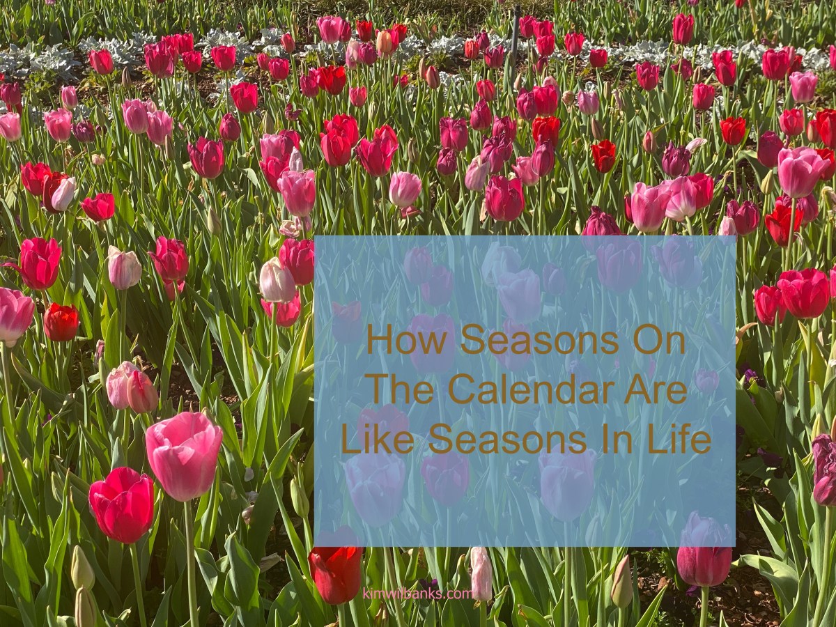 How Seasons On The Calendar Are Like Seasons Of Life – Kim Wilbanks